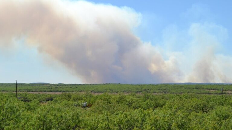 How To Make a Firebreak to Protect Your Farm Animals, House