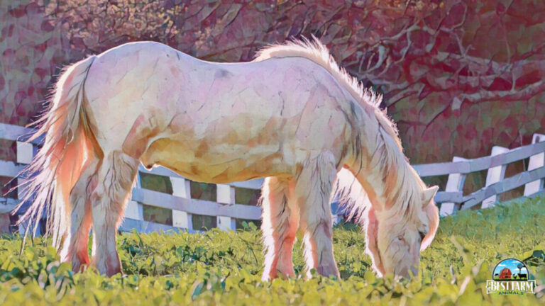 Beginner’s Guide to Raising Ponies: Care, Cost, Diet, More