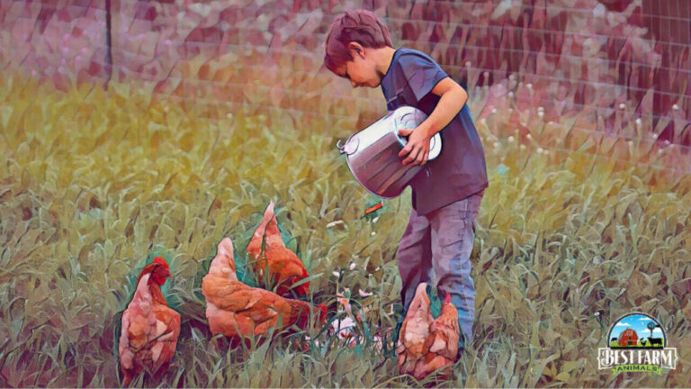 15 reasons Chickens are The Perfect Pet for Children