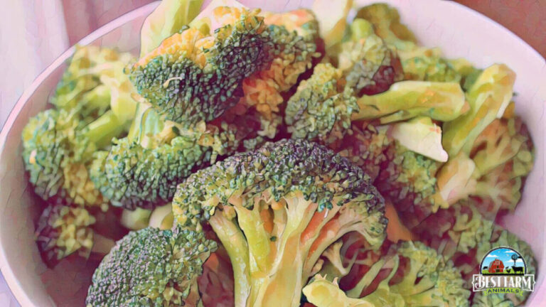 Healthy Vegetables For Pigs: Potbellied, Mini, All Pigs,