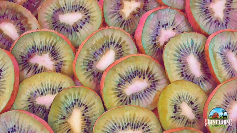 Healthy Fruits Pigs Eat Potbellied Pigs, Pet Pigs, Mini Pigs