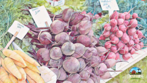 Healthy Vegetables For Pigs: Potbellied, Mini, All Pigs,