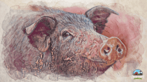 Treating A Vomiting Pig: What’s Wrong With My Throwing Up Pig?